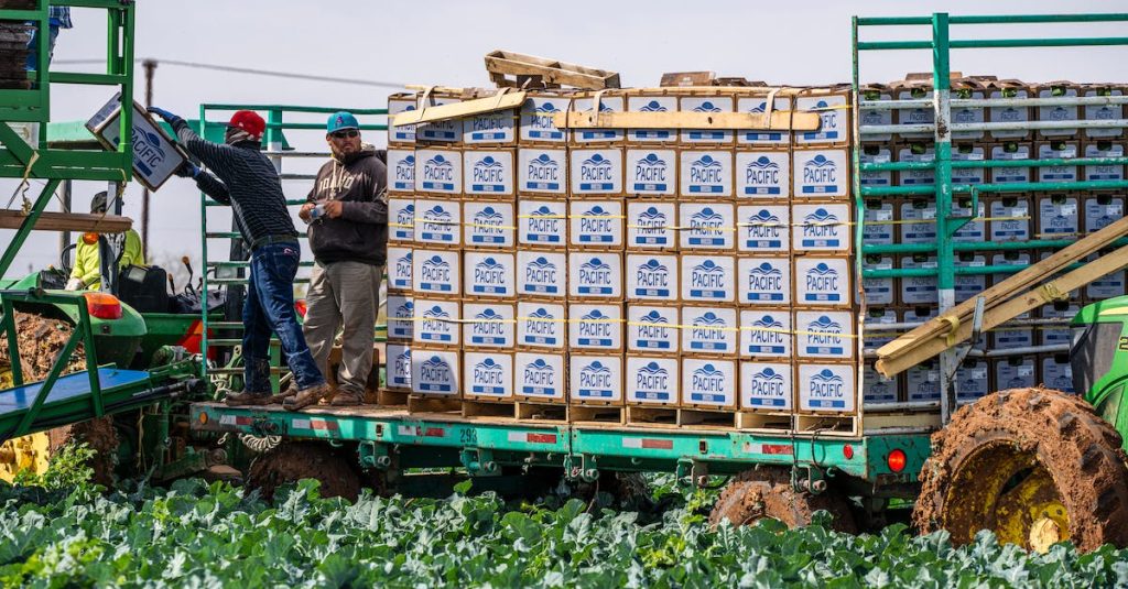 Jak dobrze znasz polskie rolnictwo i przemysł? Sprawdź się w naszym ...